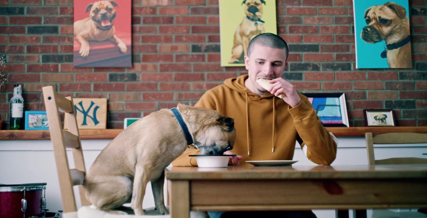 10 Hilarious Things In It's Bruno! Dog Owners Found Relatable