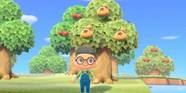 Animal Crossing New Horizons How To Plant Money Trees