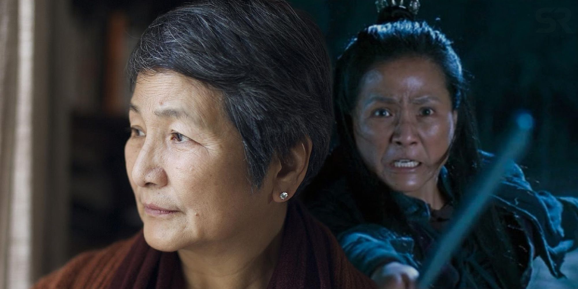 The First Female Action Hero (Cheng Pei-pei's Movies Explained)