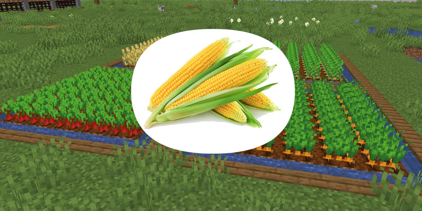 Crops Minecraft Needs To Add And Why Screen Rant