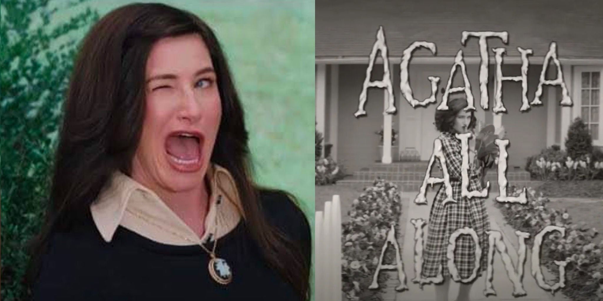 WandaVision: 10 Hilarious Agatha Harkness Memes | ScreenRant