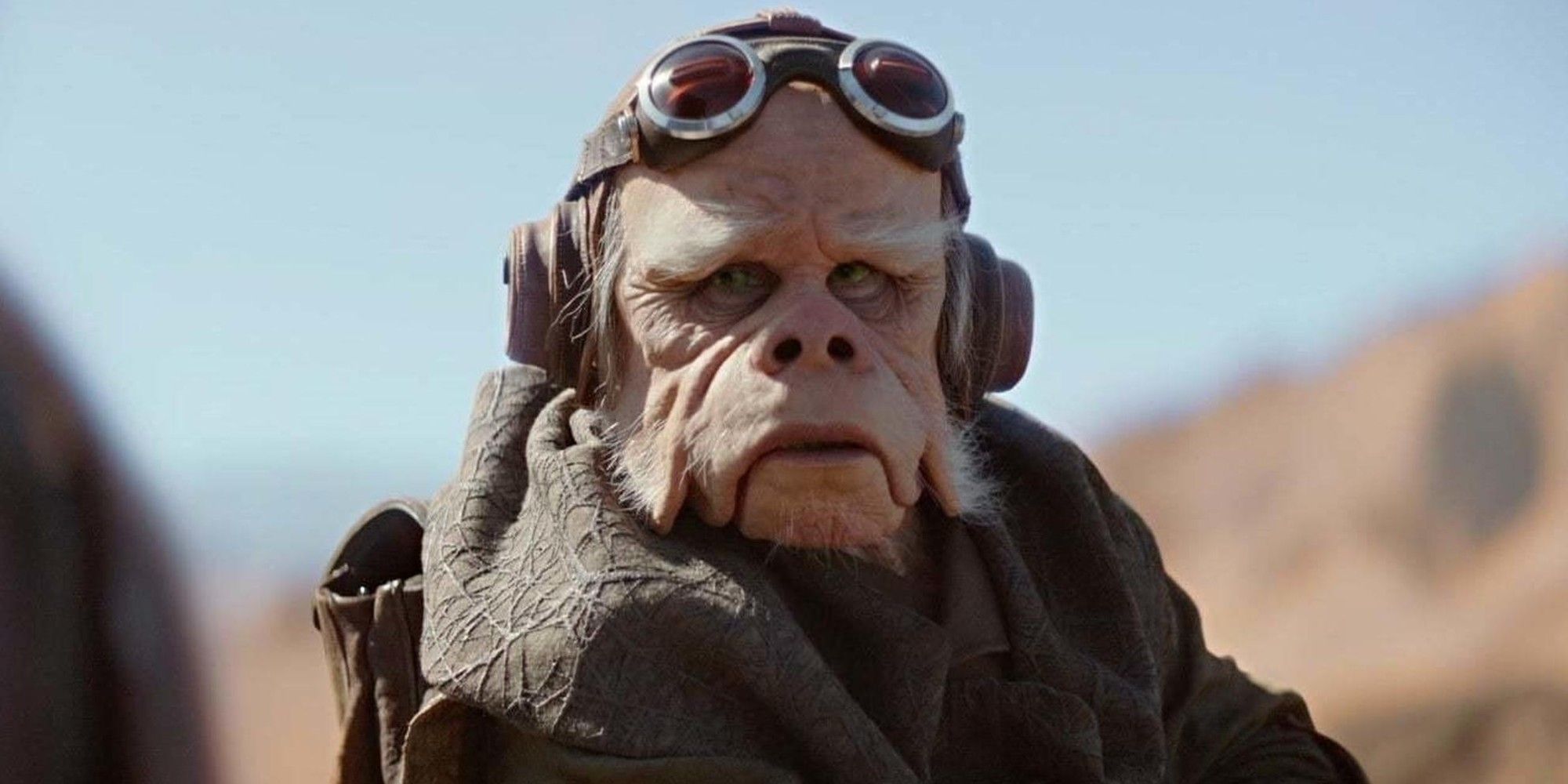 The Mandalorian's Hilarious "I Have Spoken" Meme Explained