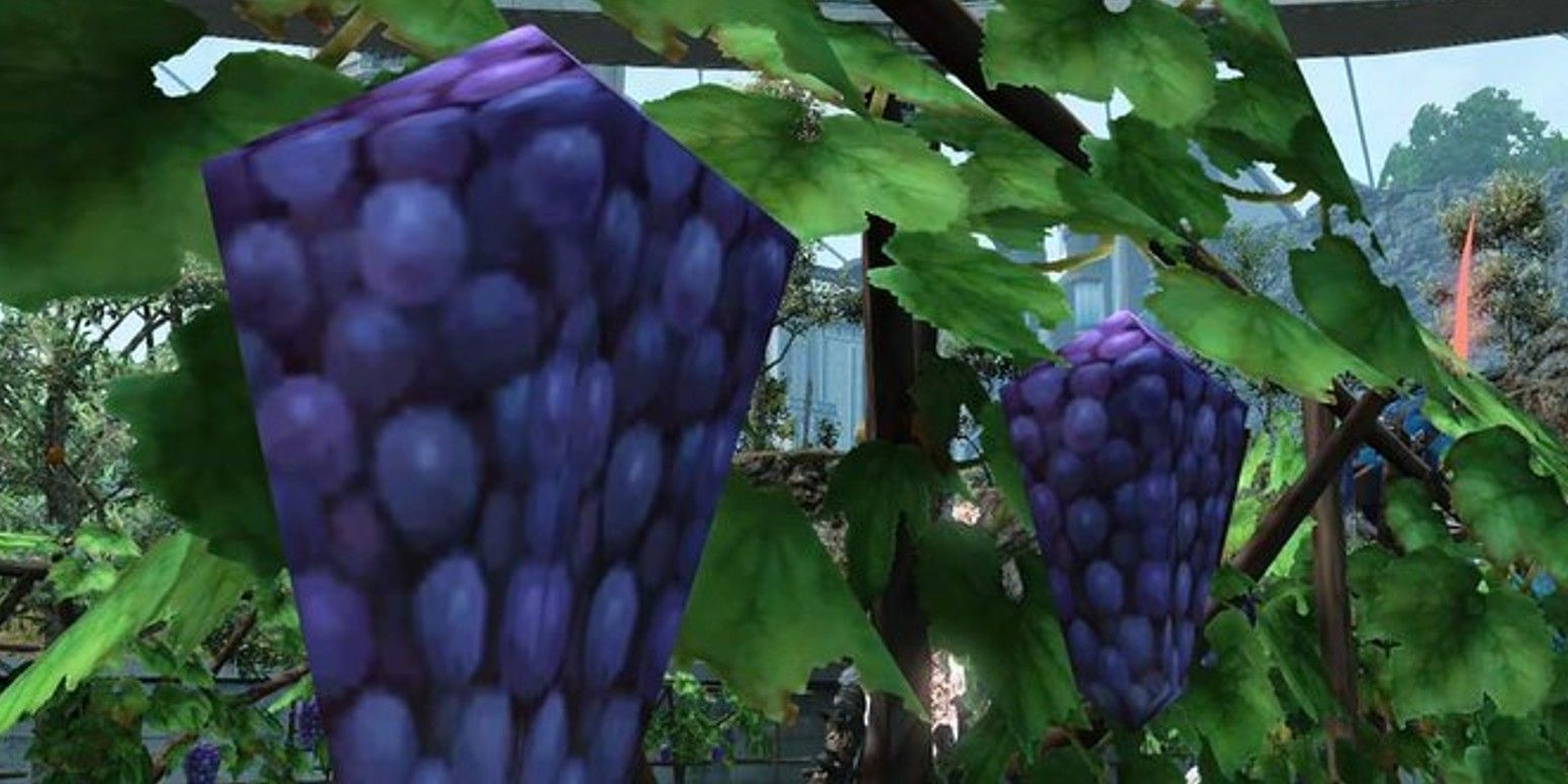 FFXIV Endwalker Fixes Its Blocky Grapes, Causing Some Players to Mourn