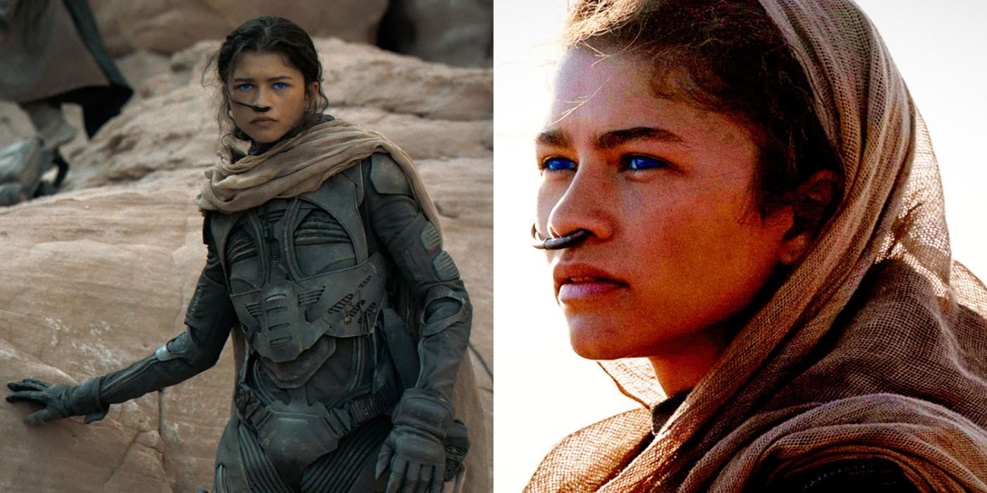 Dune: 9 Unpopular Opinions About Zendaya As Chani | Screen Rant