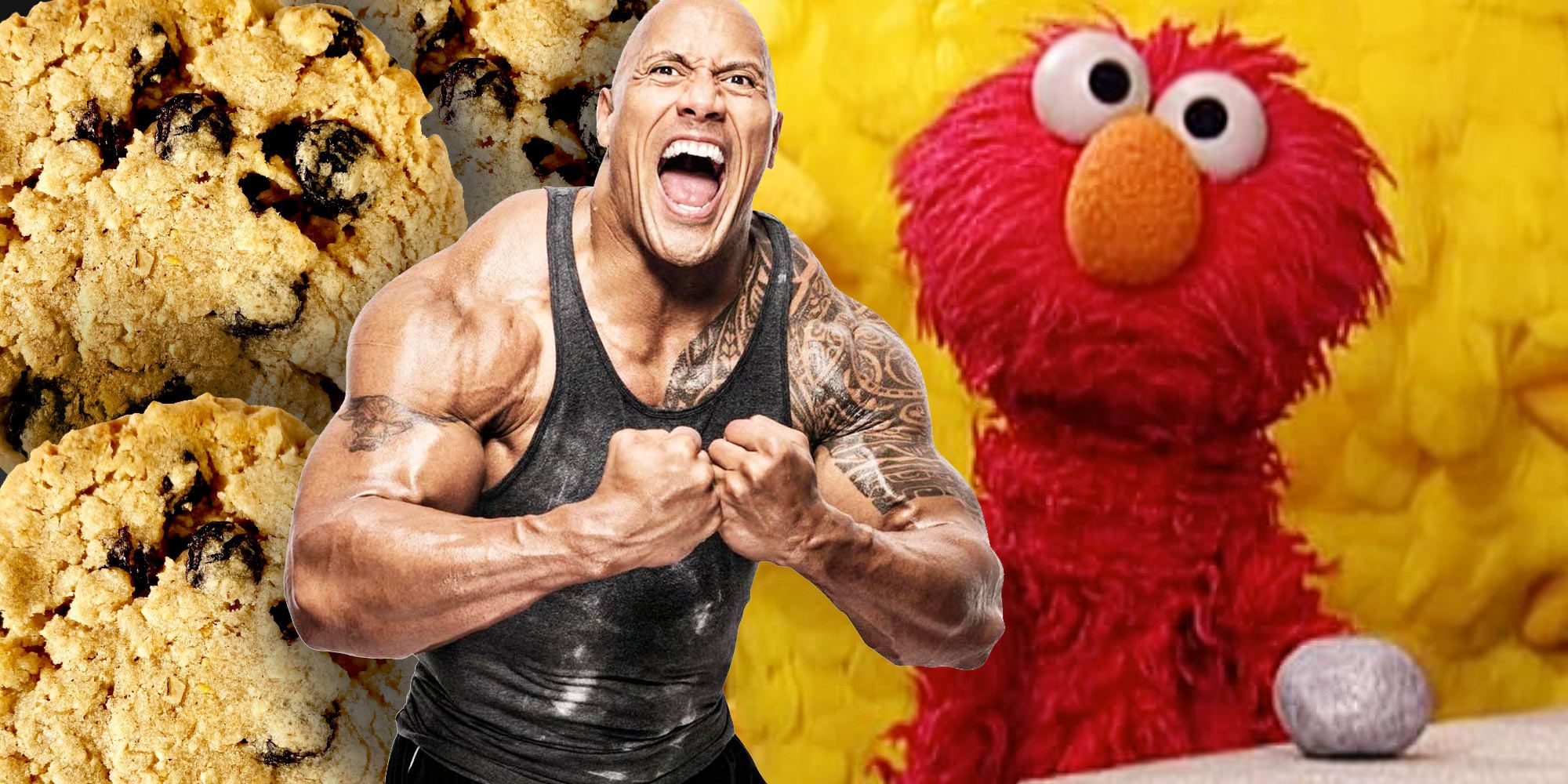 Dwayne Johnson Claps Back At Elmo Following Rocco Cookie Controversy