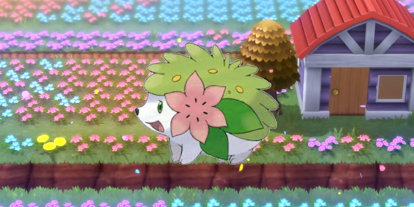 Pokémon Legends: Arceus Shows How BDSP's Floaroma Town Began