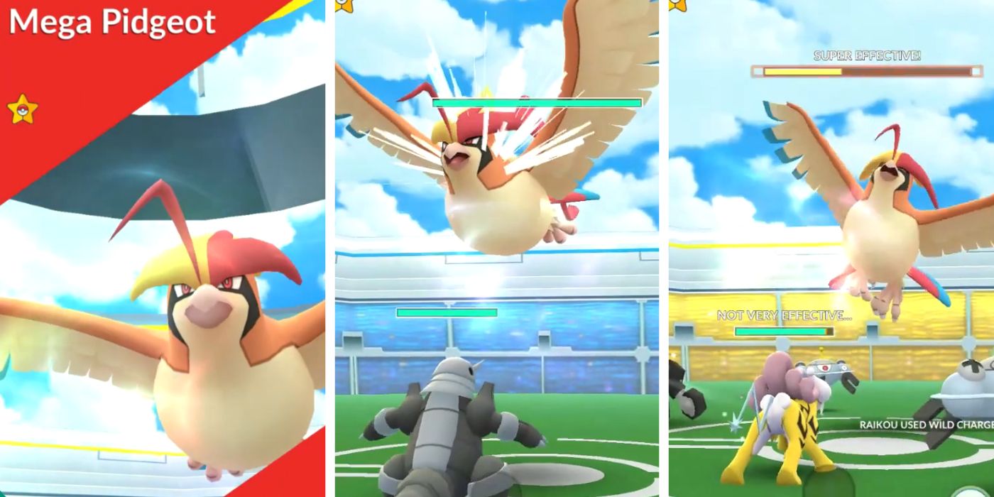 Pokémon GO: Mega Pidgeot Raid Battle Guide (Best Counters & Movesets)