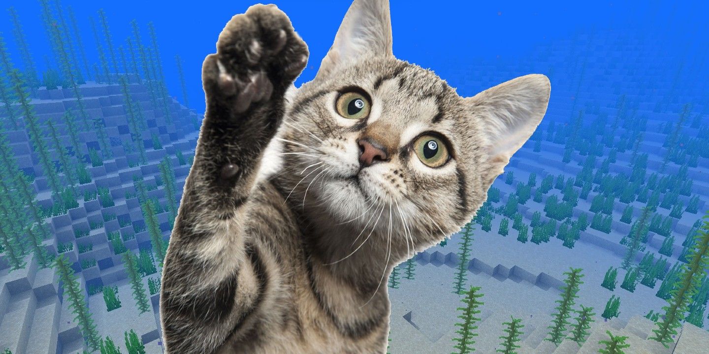 Player's Cat Enters Minecraft In Impressive Ocean Art Build ...
